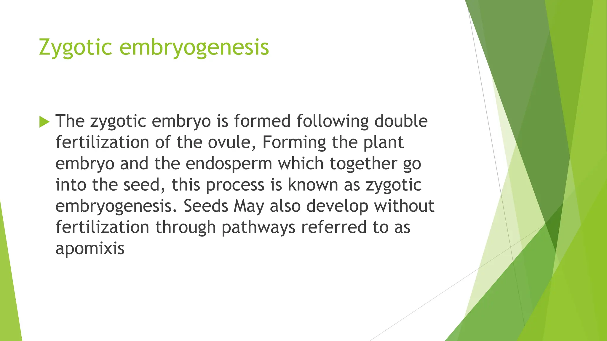 Embryogenesis | PPTX