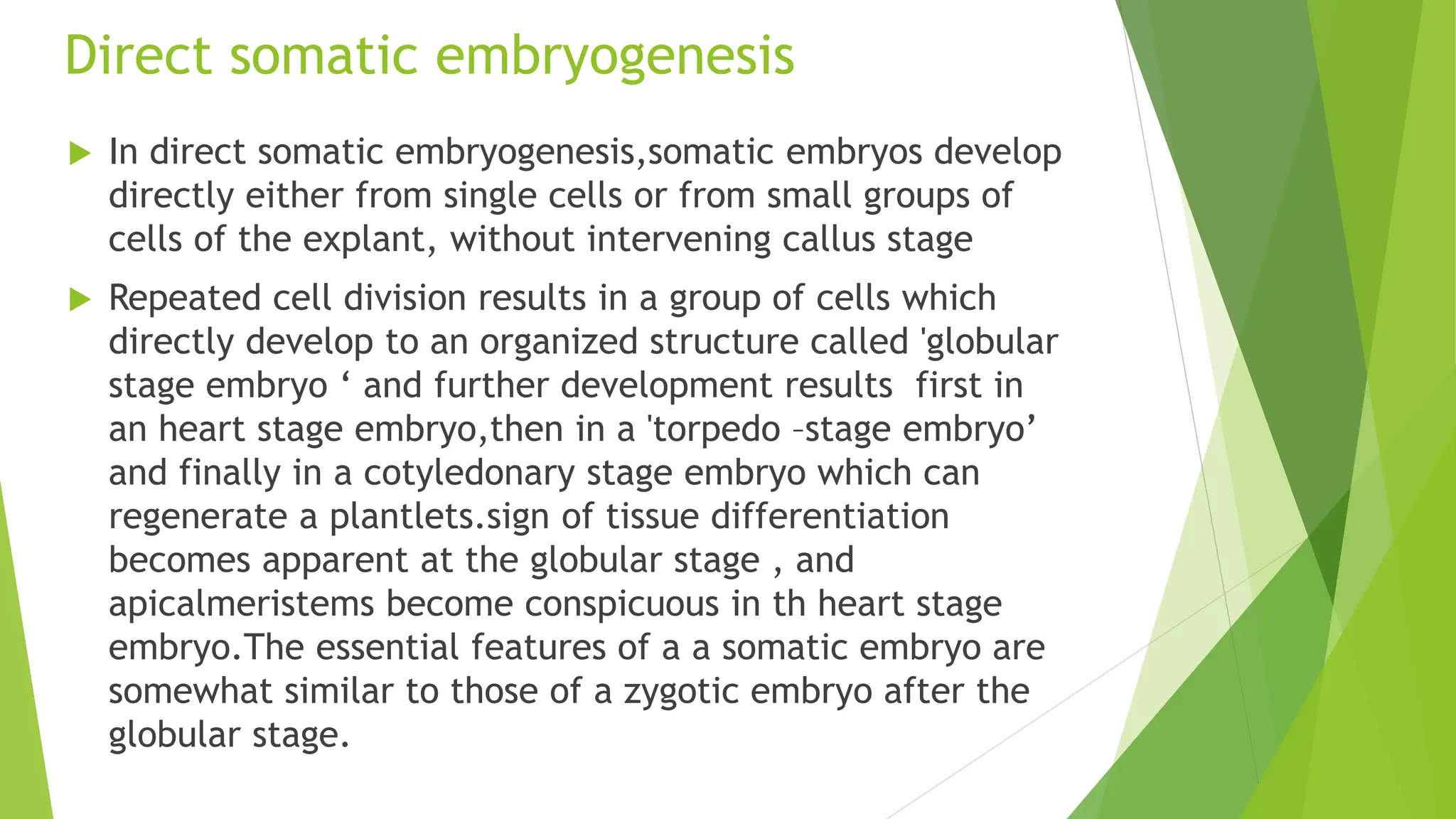 Embryogenesis | PPTX