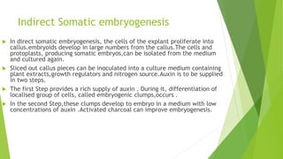 Embryogenesis | PPTX