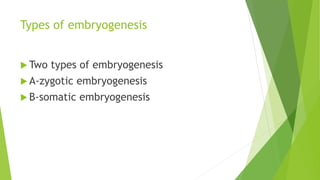 Embryogenesis | PPTX