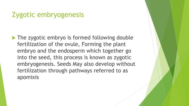 Embryogenesis | PPTX