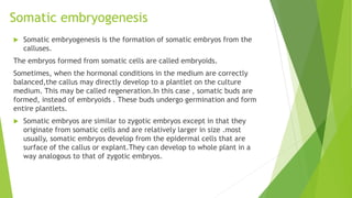 Embryogenesis | PPTX