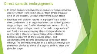 Embryogenesis | PPTX