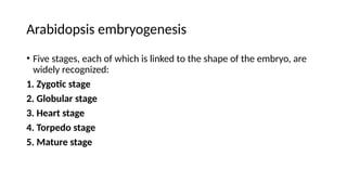 EmbryoEmbryogenesis Embryogenesis Embryogenesis genesis 1- Copy.pptx