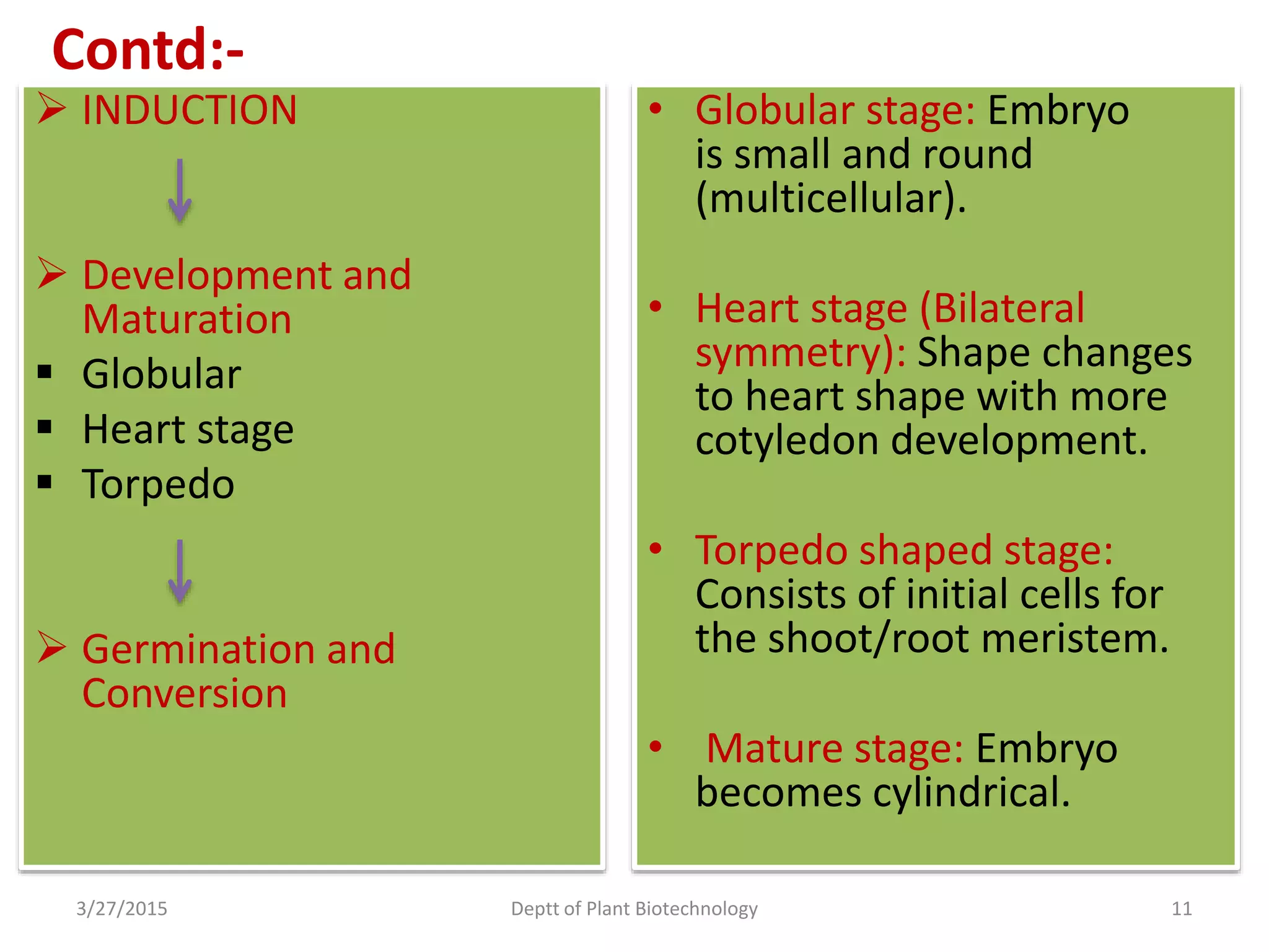 Embryogenesis 27 mar 15 | PPTX