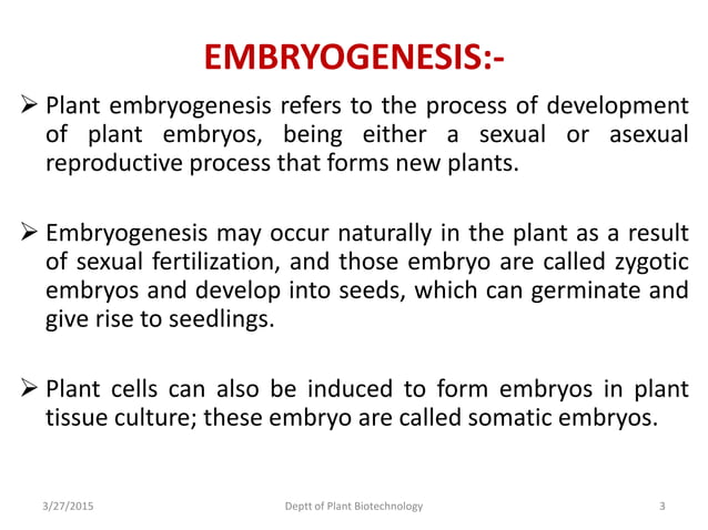 Embryogenesis 27 mar 15 | PPTX