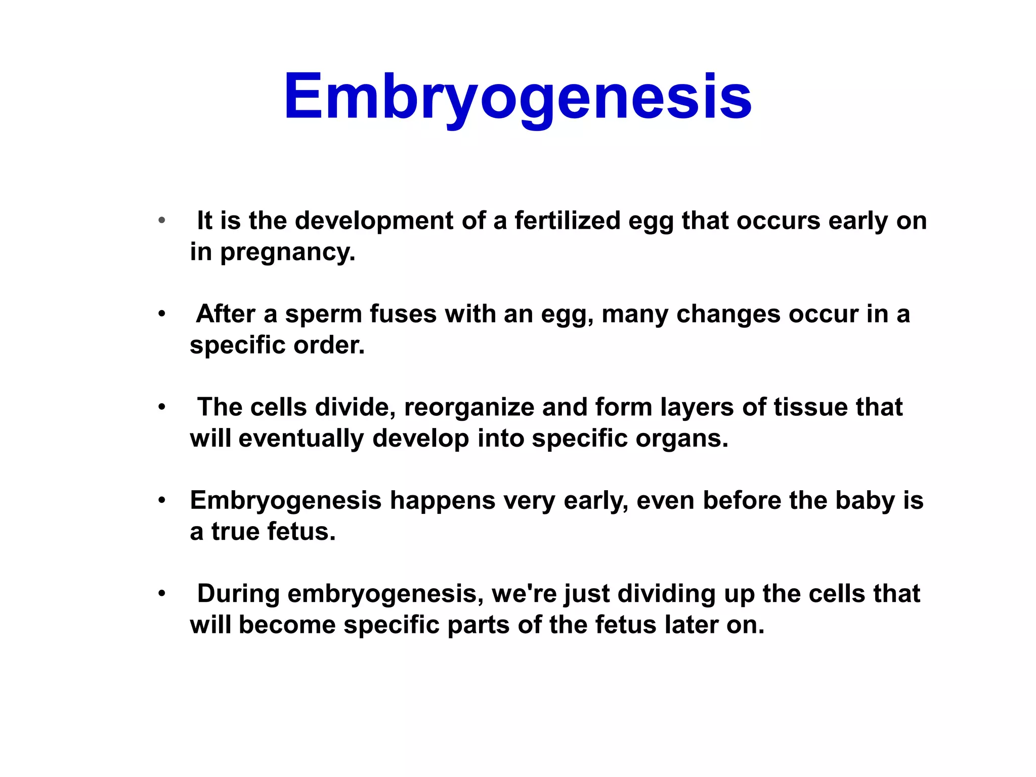 Embryogenesis and lactation | PPT