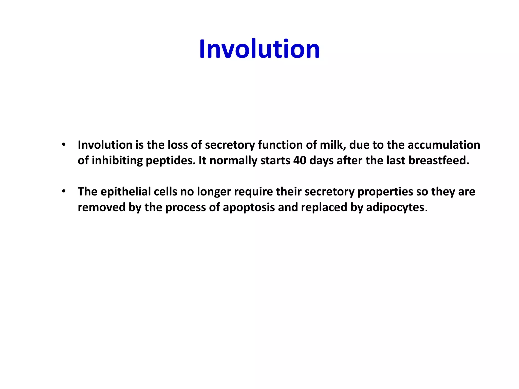 Embryogenesis and lactation | PPT