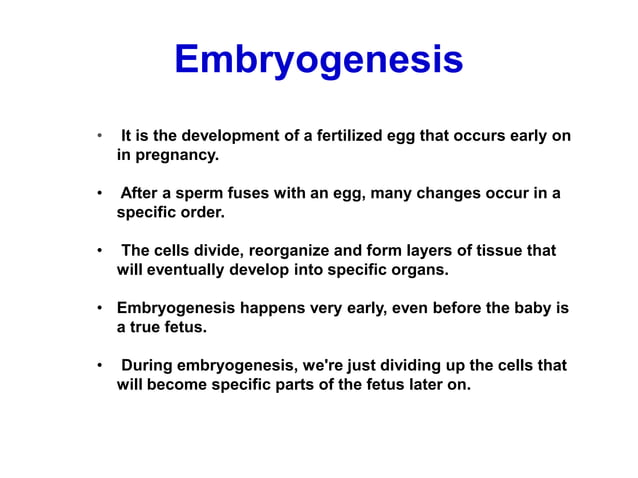 Embryogenesis and lactation | PPT
