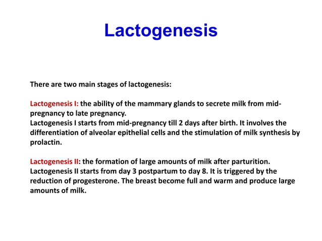 Embryogenesis and lactation | PPT