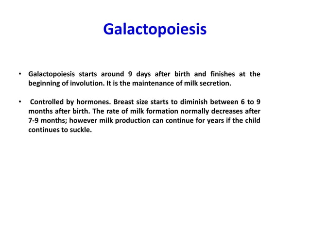 Embryogenesis and lactation | PPT