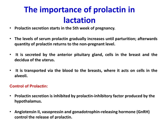 Embryogenesis and lactation | PPT