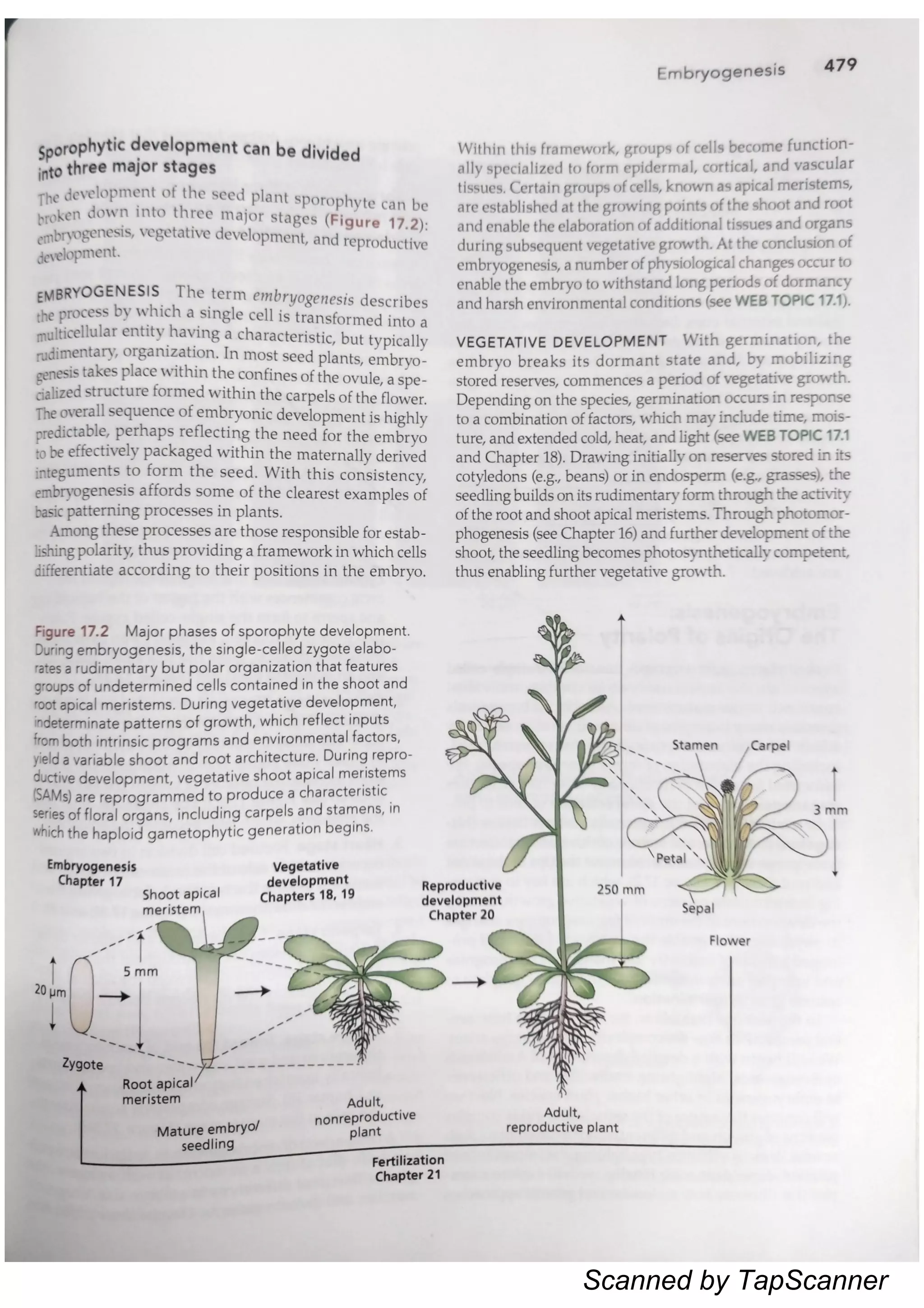 Embryogenesis_Taiz and Zaiger.pdf