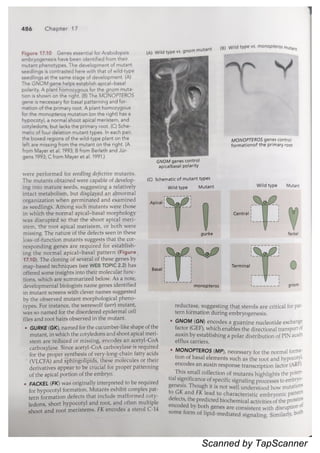 Embryogenesis_Taiz and Zaiger.pdf