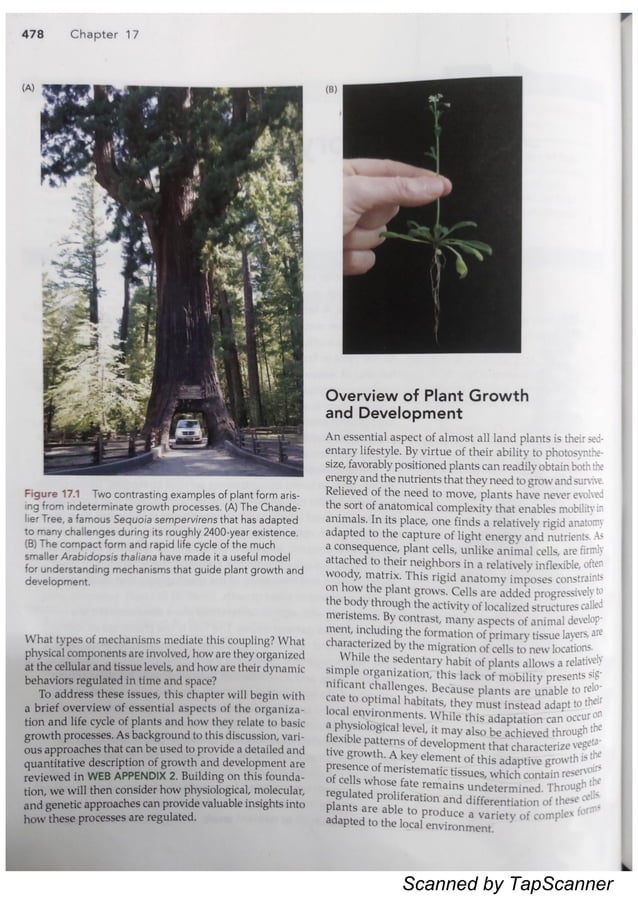 Embryogenesis_Taiz and Zaiger.pdf