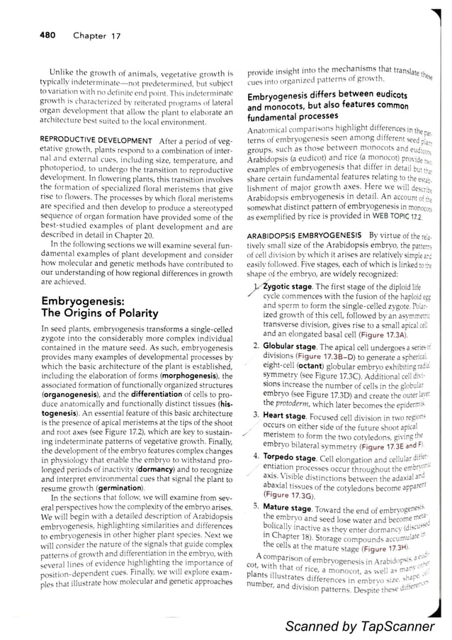 Embryogenesis_Taiz and Zaiger.pdf
