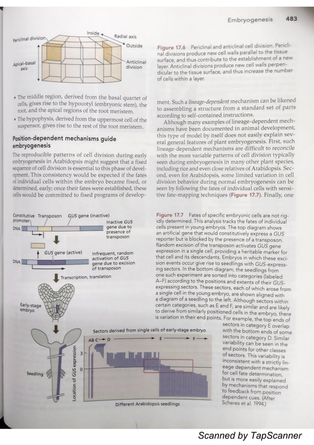 Embryogenesis_Taiz and Zaiger.pdf