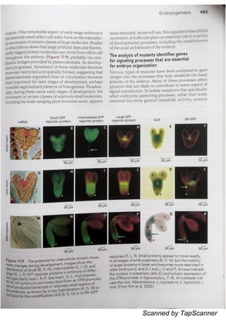 Embryogenesis_Taiz and Zaiger.pdf
