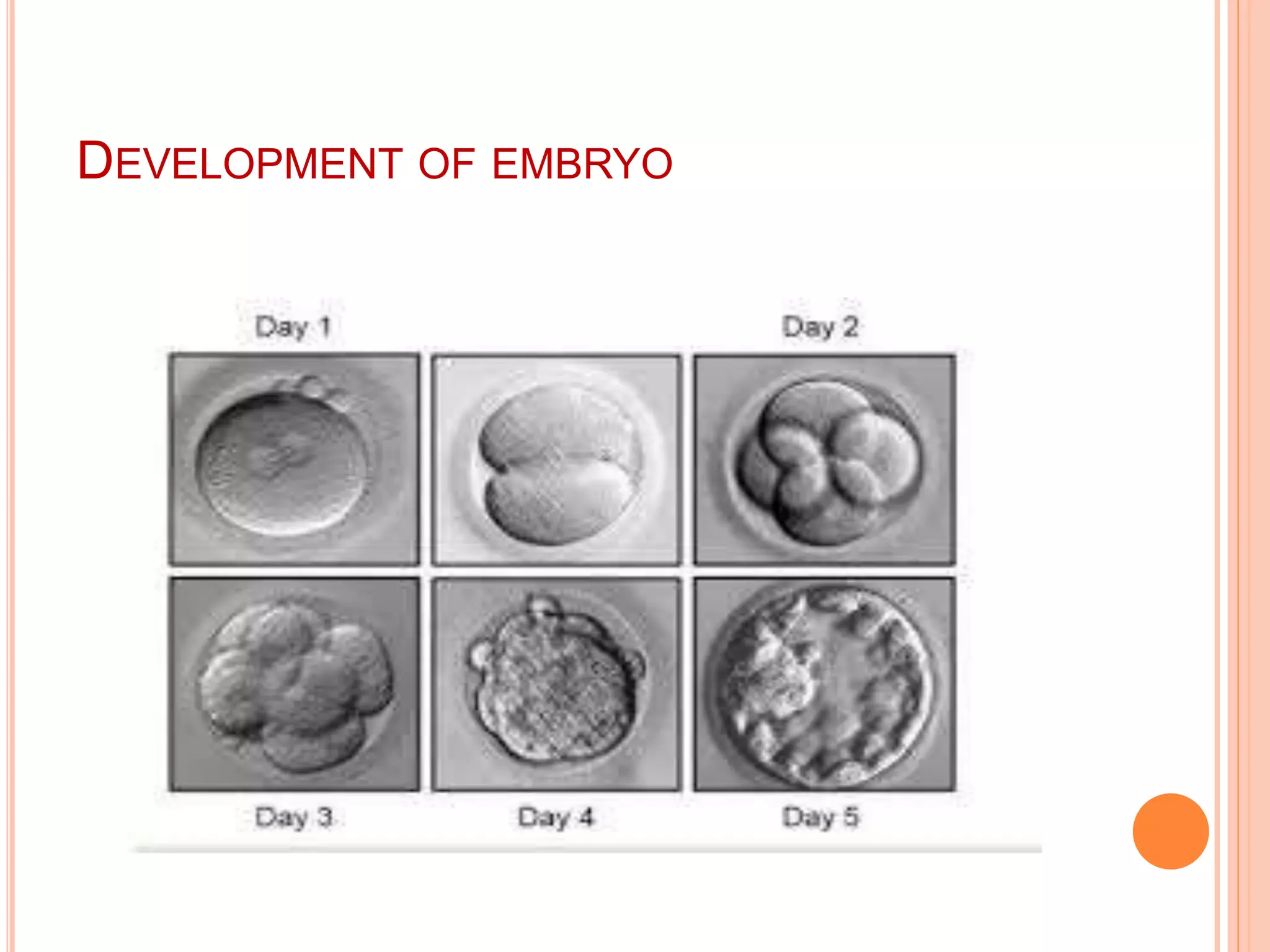 Embryo grading | PPTX