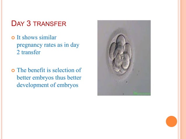 Embryo grading | PPTX | Pregnancy | Reproductive Health