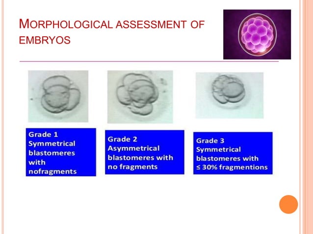Embryo grading | PPTX | Pregnancy | Reproductive Health