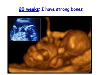 Embryo growth 3 | PPTX | Pregnancy | Reproductive Health