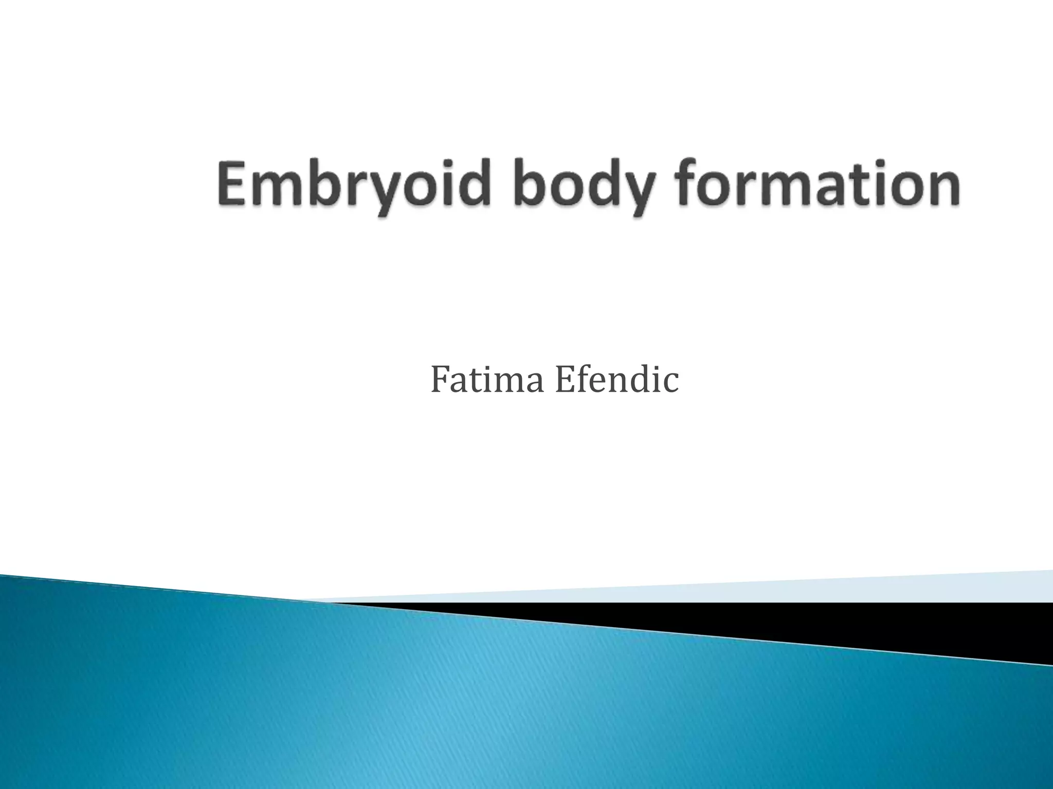 Embryoid body formation | PPT