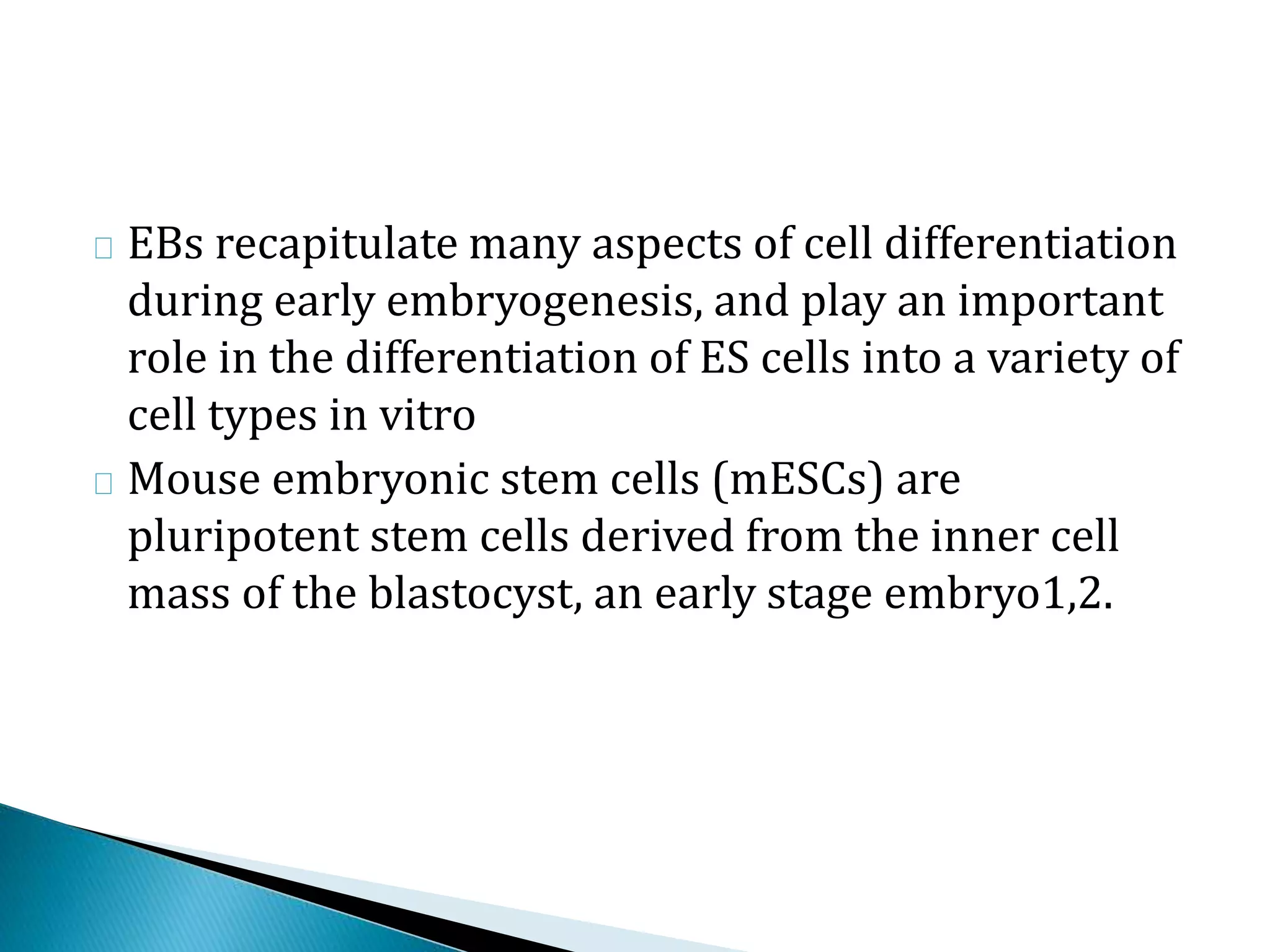 Embryoid body formation | PPT