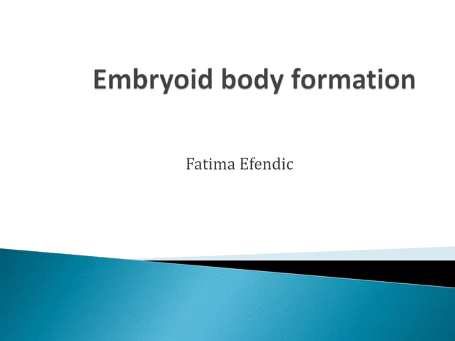Embryoid body formation | PPT