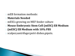 Embryoid body formation | PPT