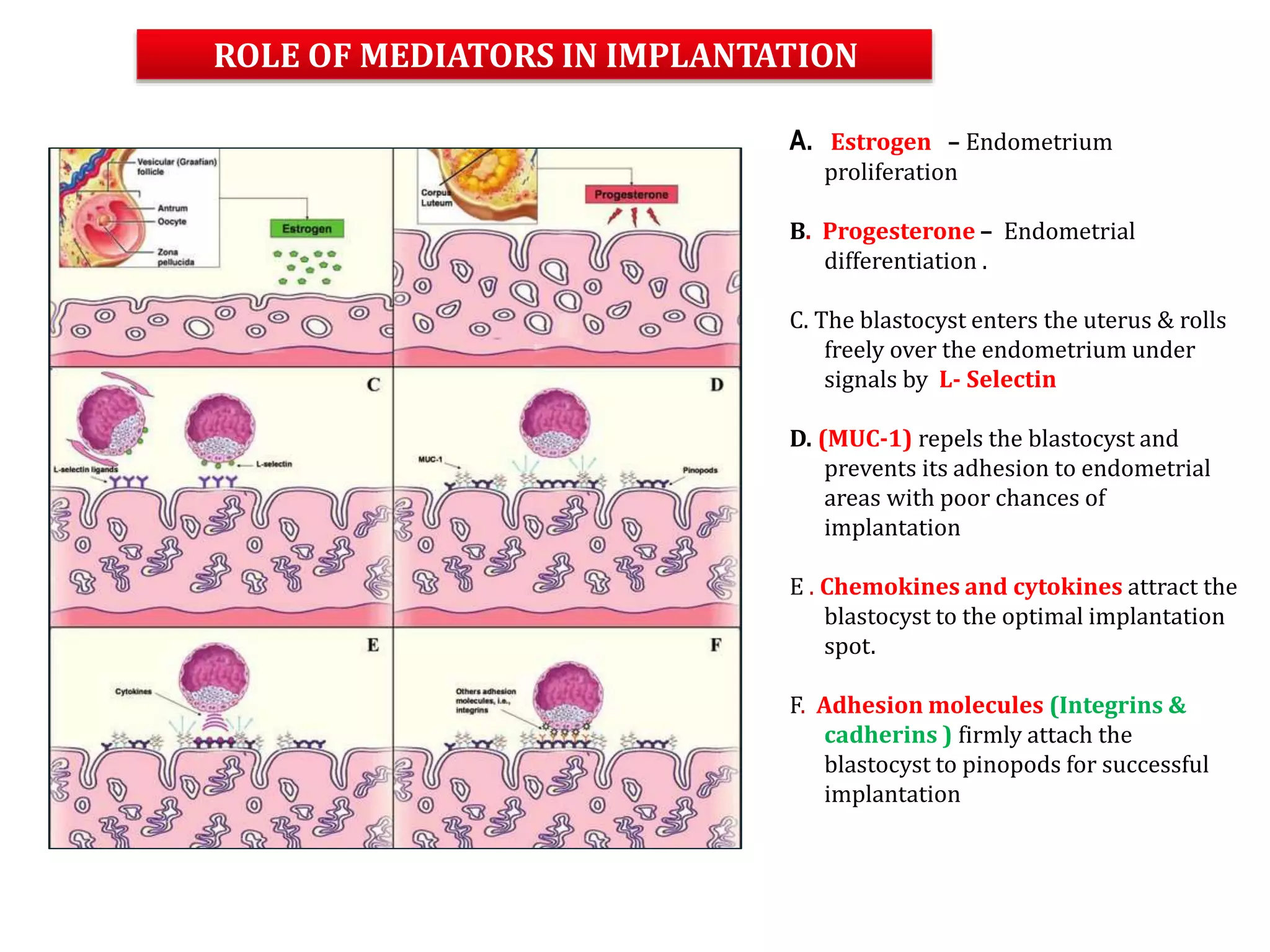 embryo implantation failure.pptx