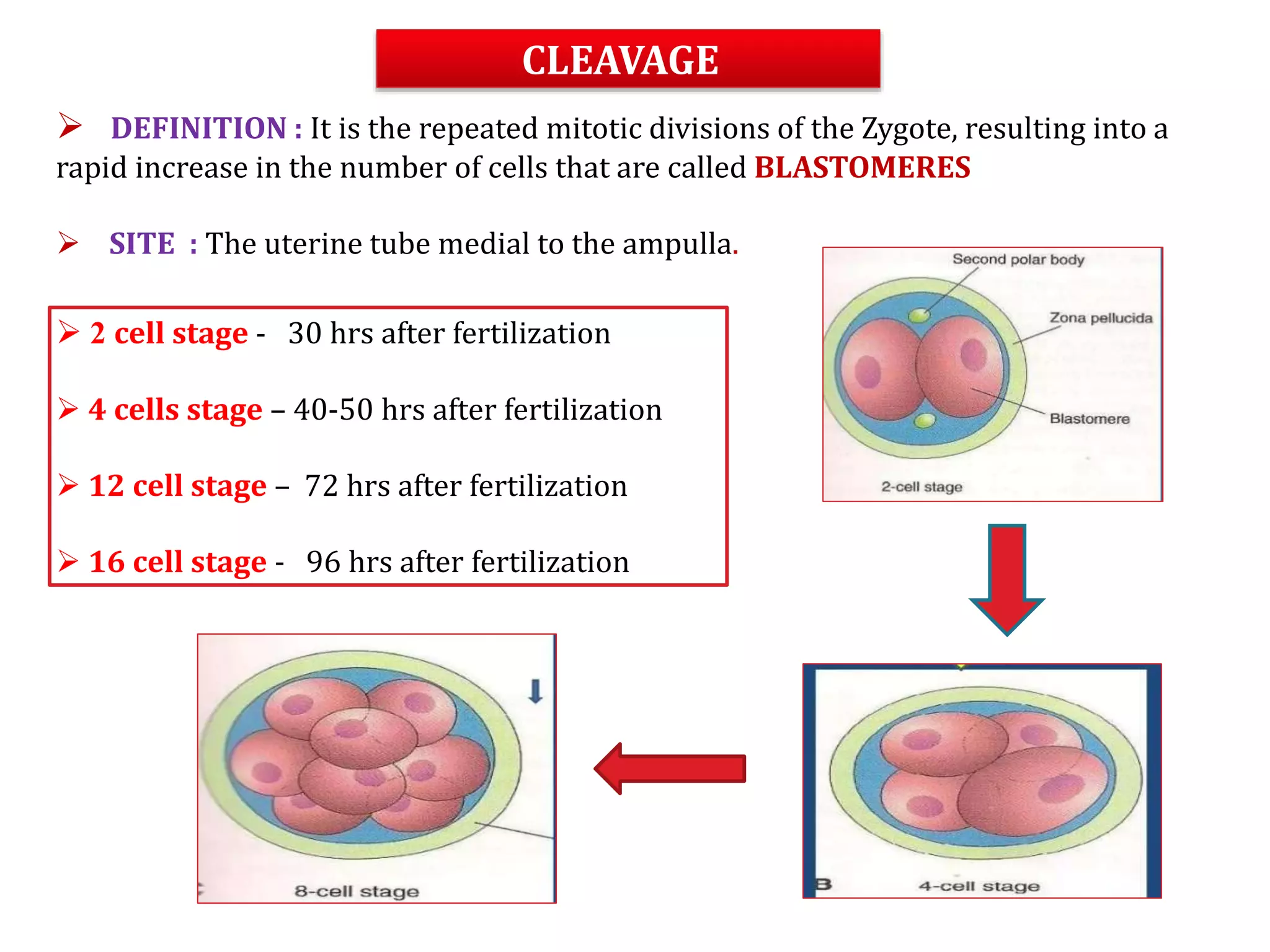 embryo implantation failure.pptx