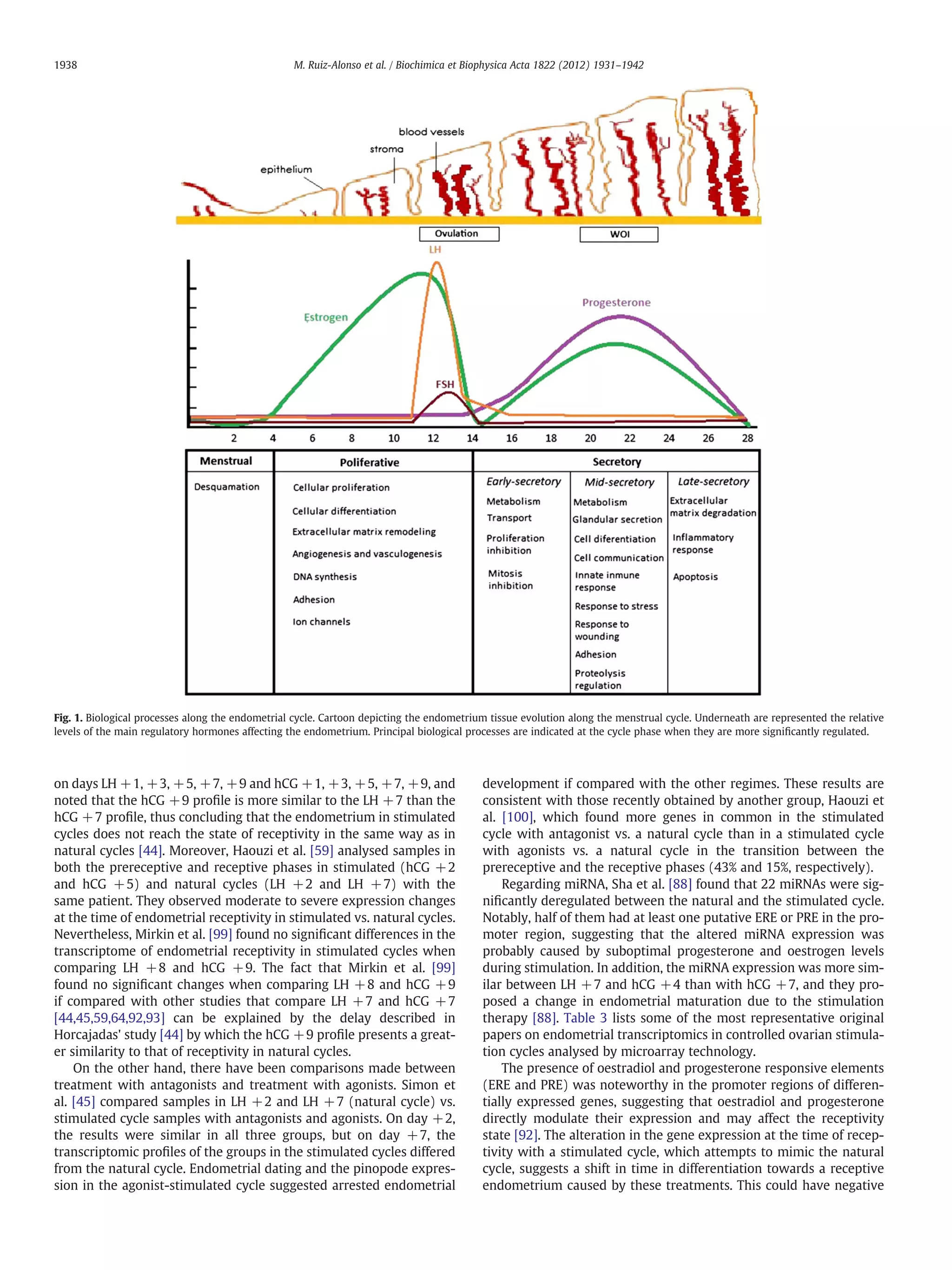 Embryo implantation 7 | PDF