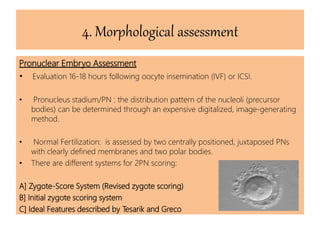 In Vitro embryo life | PPTX | Infertility | Reproductive Health