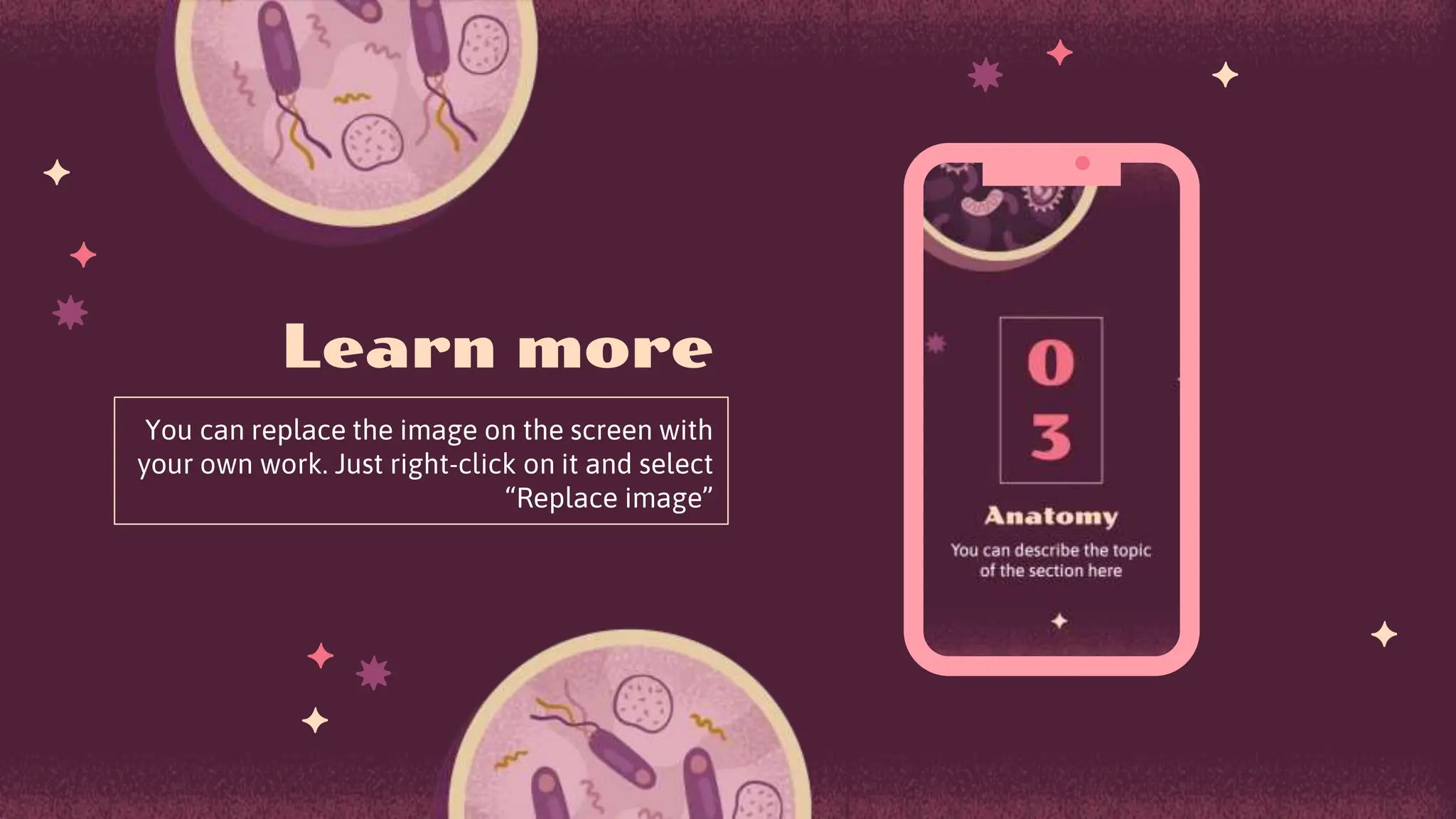 EMBRYOLOGICAL AND CYTOLOGICAL TAXONOMIC EVIDENCE.pptx