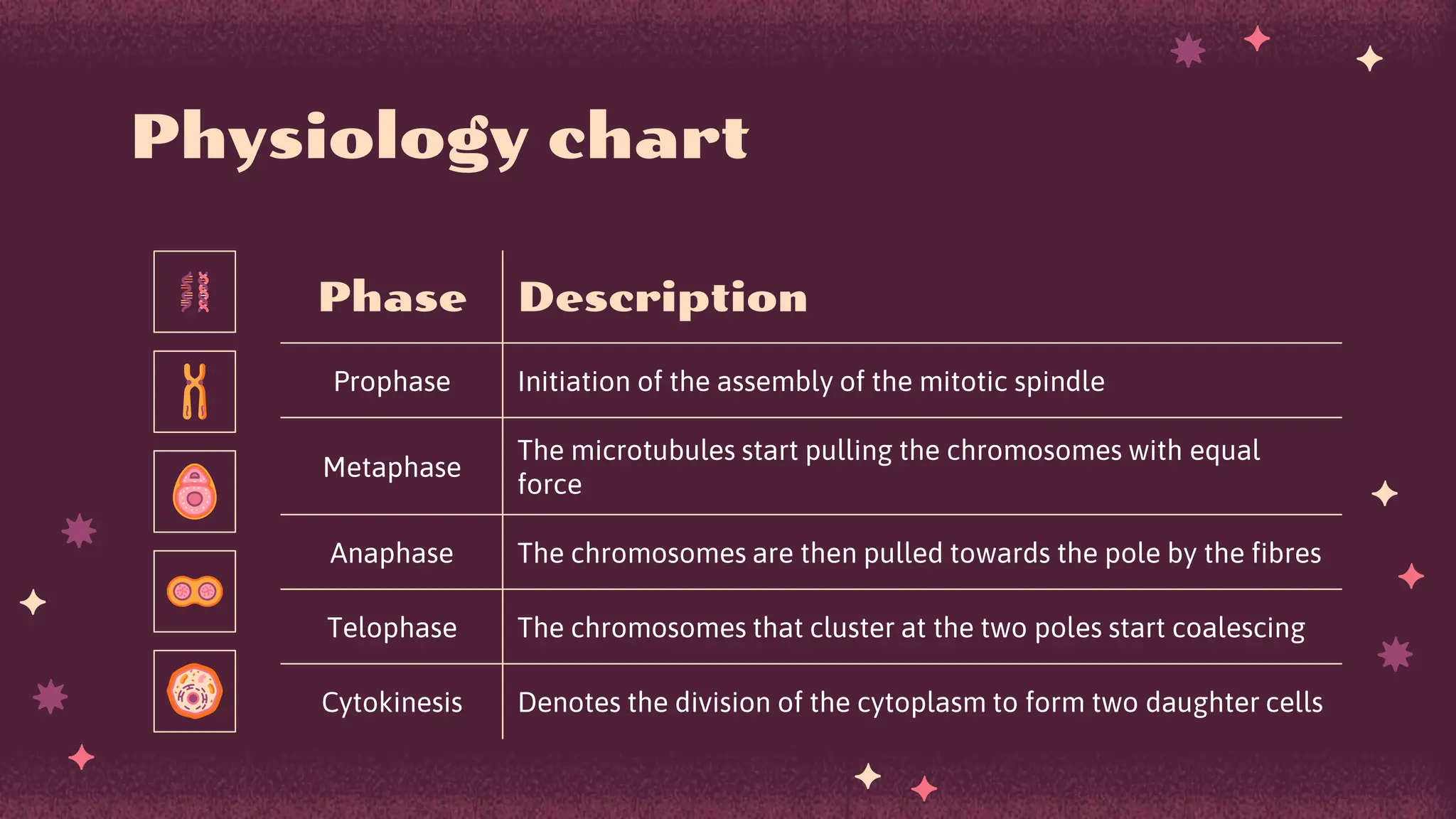 EMBRYOLOGICAL AND CYTOLOGICAL TAXONOMIC EVIDENCE.pptx