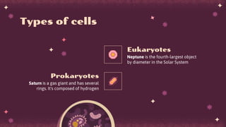 EMBRYOLOGICAL AND CYTOLOGICAL TAXONOMIC EVIDENCE.pptx