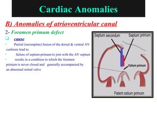 Embryological basis of congenital heart diseases | PPT