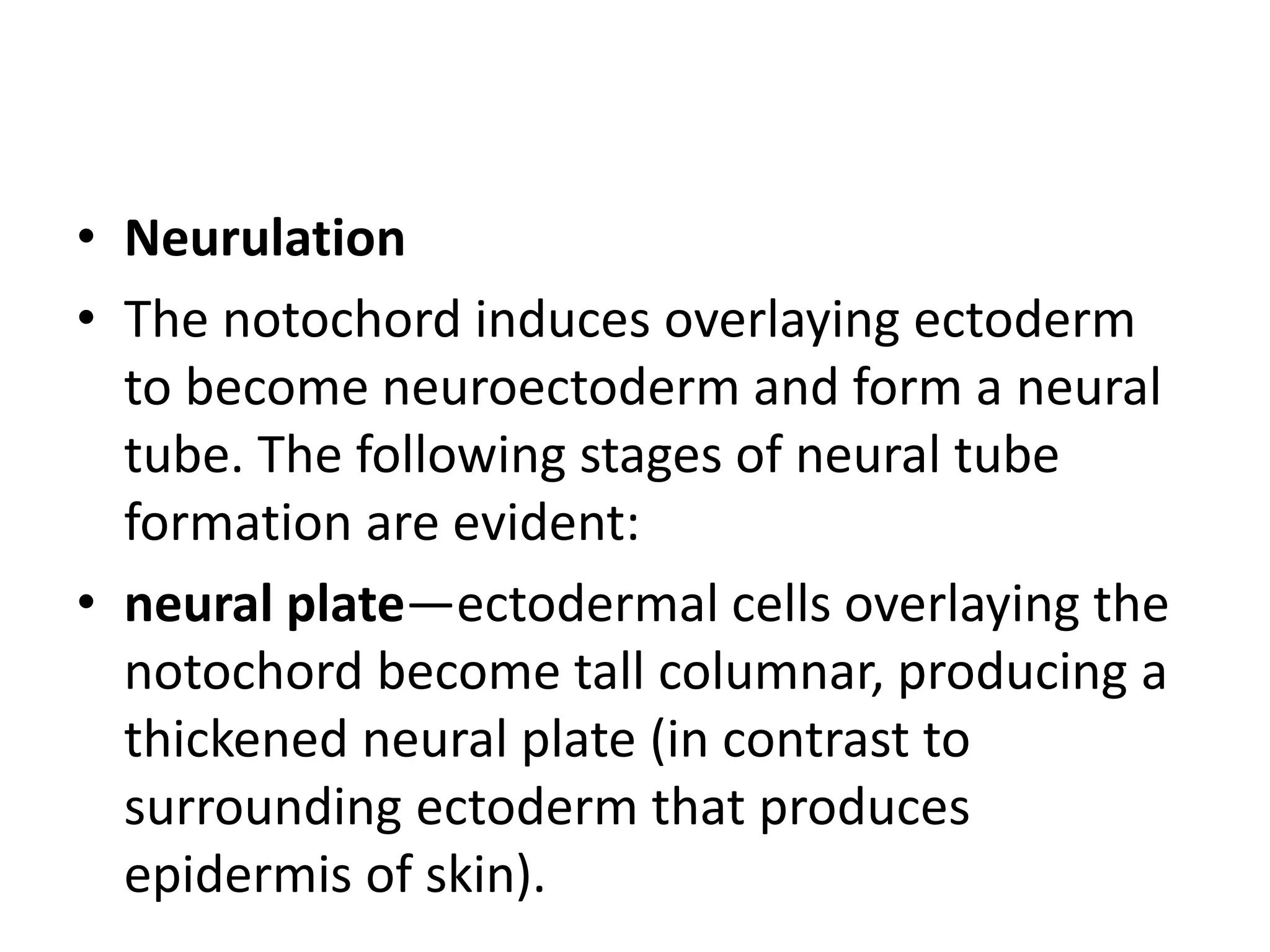 Embryological development of the nervous system and special | PPTX