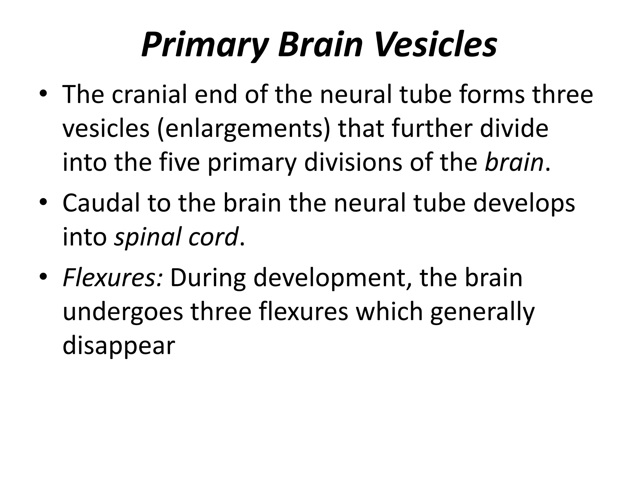 Embryological development of the nervous system and special | PPTX