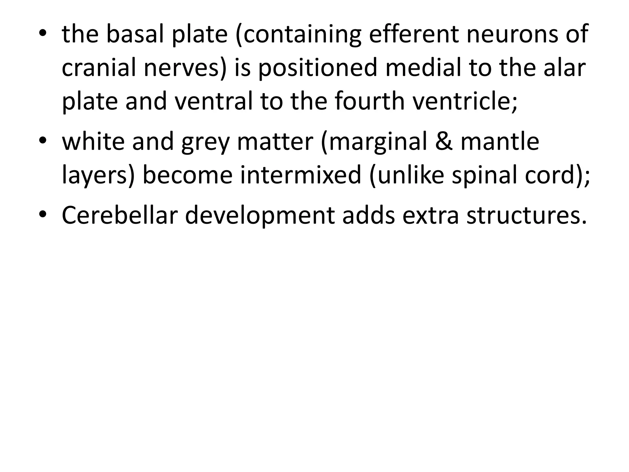 Embryological development of the nervous system and special | PPTX