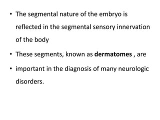 Embryological development of the nervous system and special | PPTX