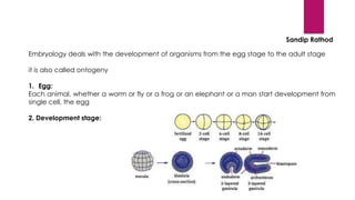 Embryological Evidences.pdf