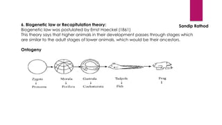 Embryological Evidences.pdf