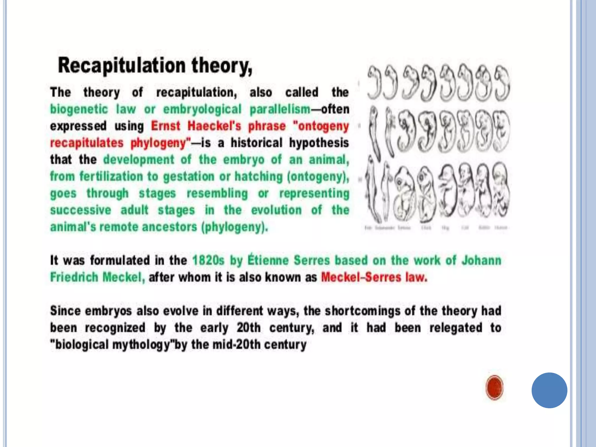 Embryological and physiological evidences of evolution | PPTX