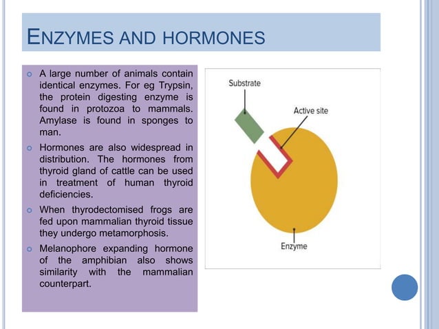 Embryological and physiological evidences of evolution | PPTX ...
