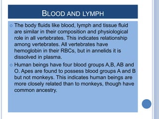 Embryological and physiological evidences of evolution | PPTX ...