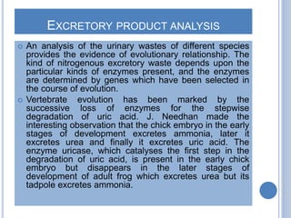 Embryological and physiological evidences of evolution | PPTX ...