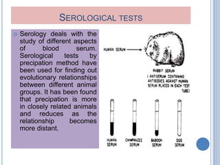 Embryological and physiological evidences of evolution | PPTX ...