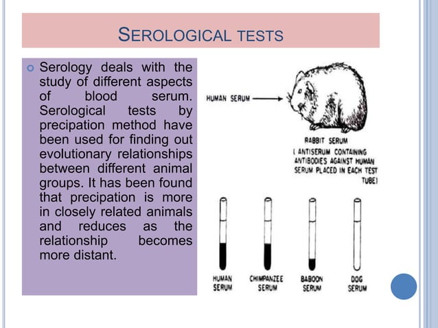 Embryological and physiological evidences of evolution | PPTX ...
